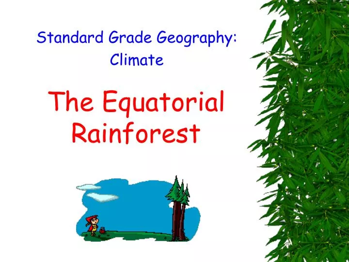 PPT - The Equatorial Rainforest PowerPoint Presentation, free download - ID:927354