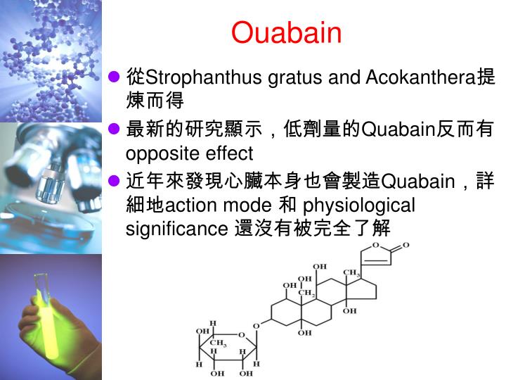 PPT - The Nobel Prize in Chemistry 1997 ATP synthase & Na+-K+ Pump ...