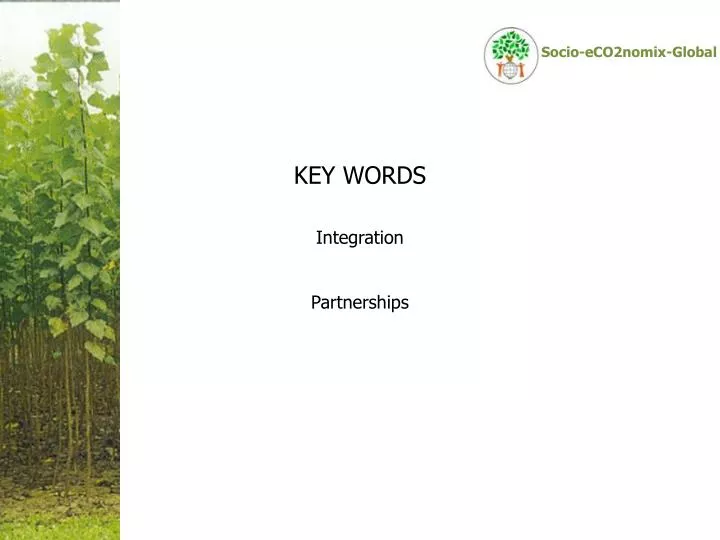 PPT - KEY WORDS PowerPoint Presentation, free download - ID:928803