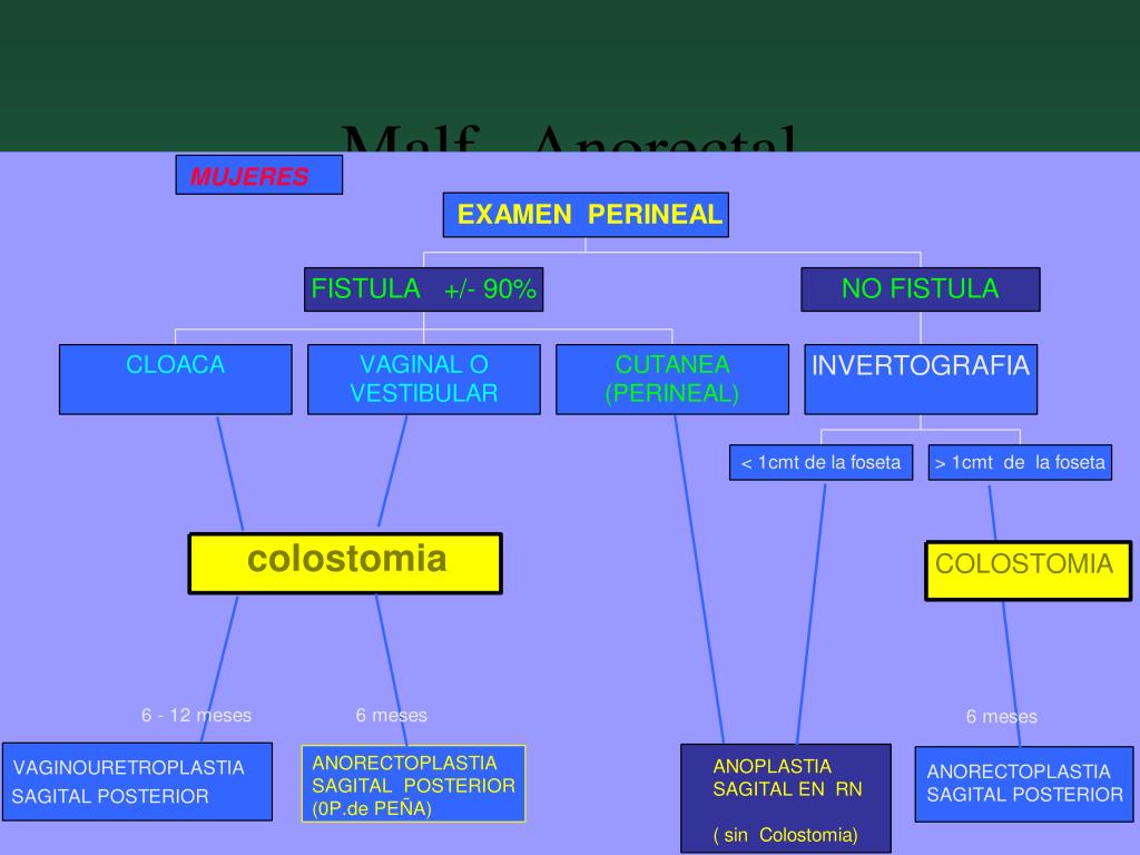 PPT - MALFORMACIONES ANORECTALES (ANO IMPERFORADO) PowerPoint ...