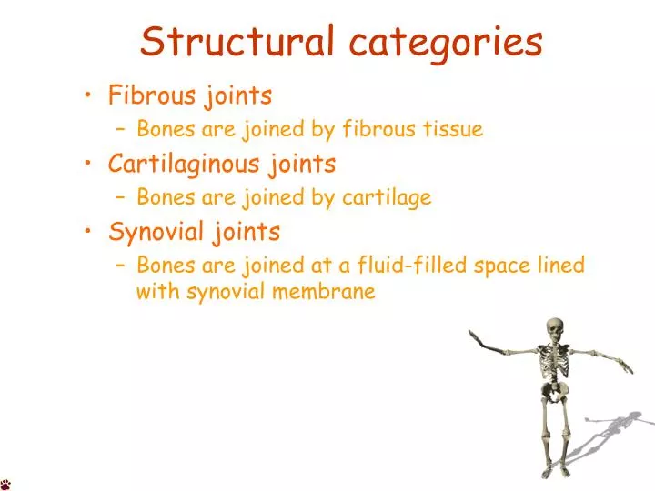 PPT - Structural categories PowerPoint Presentation, free download - ID ...