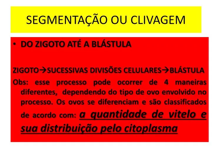 PPT - SEGMENTAÇÃO OU CLIVAGEM PowerPoint Presentation, free download ...