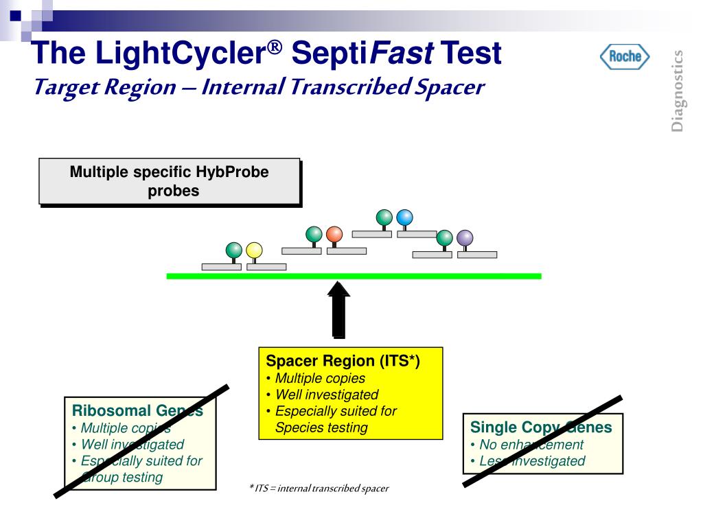 PPT - Neues aus der Sepsis-Diagnostik PowerPoint Presentation, free ...