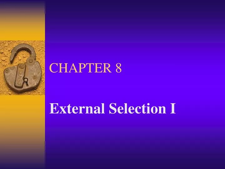 PPT - CHAPTER 8 PowerPoint Presentation, free download - ID:929985