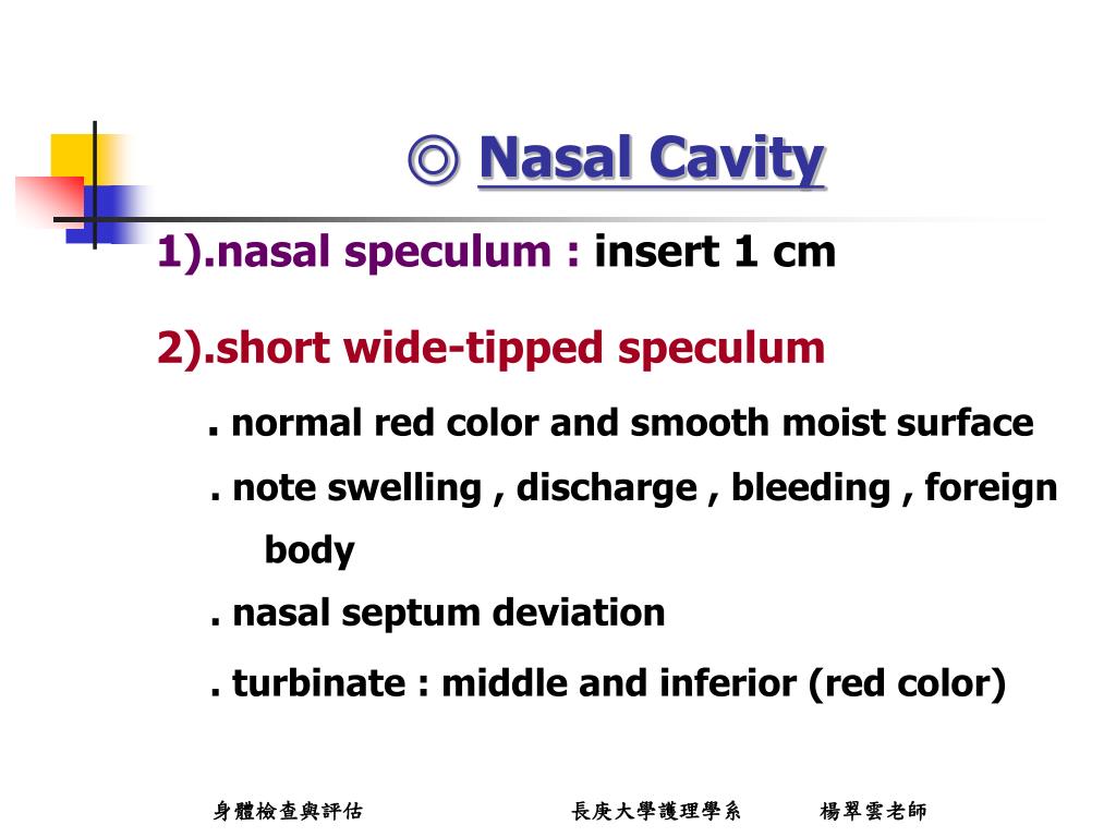 PPT - Assessment of the Eye ， Ear ， Nose ， Mouth and Throat PowerPoint ...