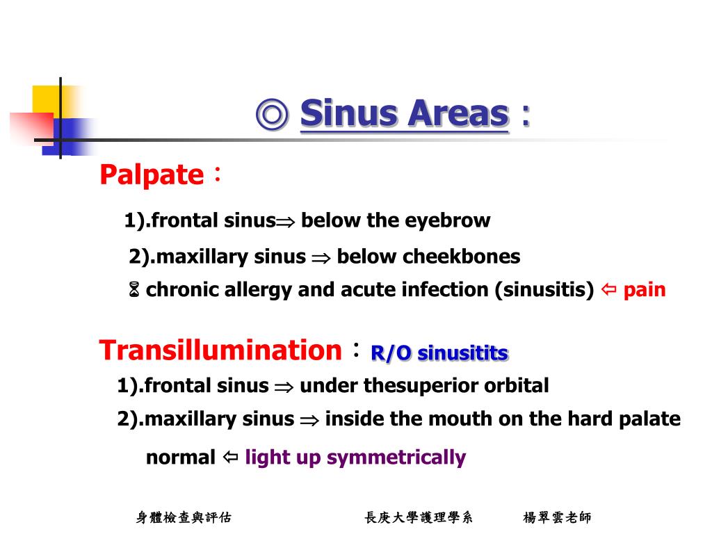 PPT - Assessment of the Eye ， Ear ， Nose ， Mouth and Throat PowerPoint ...