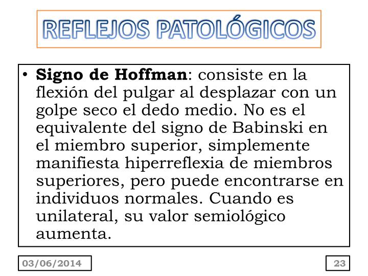 PPT - C4 ACTIVIDAD REFLEJA DEL SISTEMA NERVIOSO. PowerPoint ...