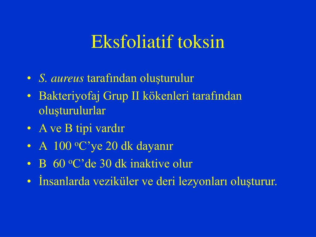 PPT - Stafilokokların Mikrobiyolojisi ve İnfeksiyon Oluşturma ...