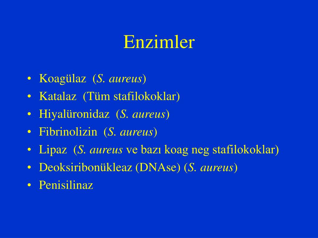PPT - Stafilokokların Mikrobiyolojisi ve İnfeksiyon Oluşturma ...