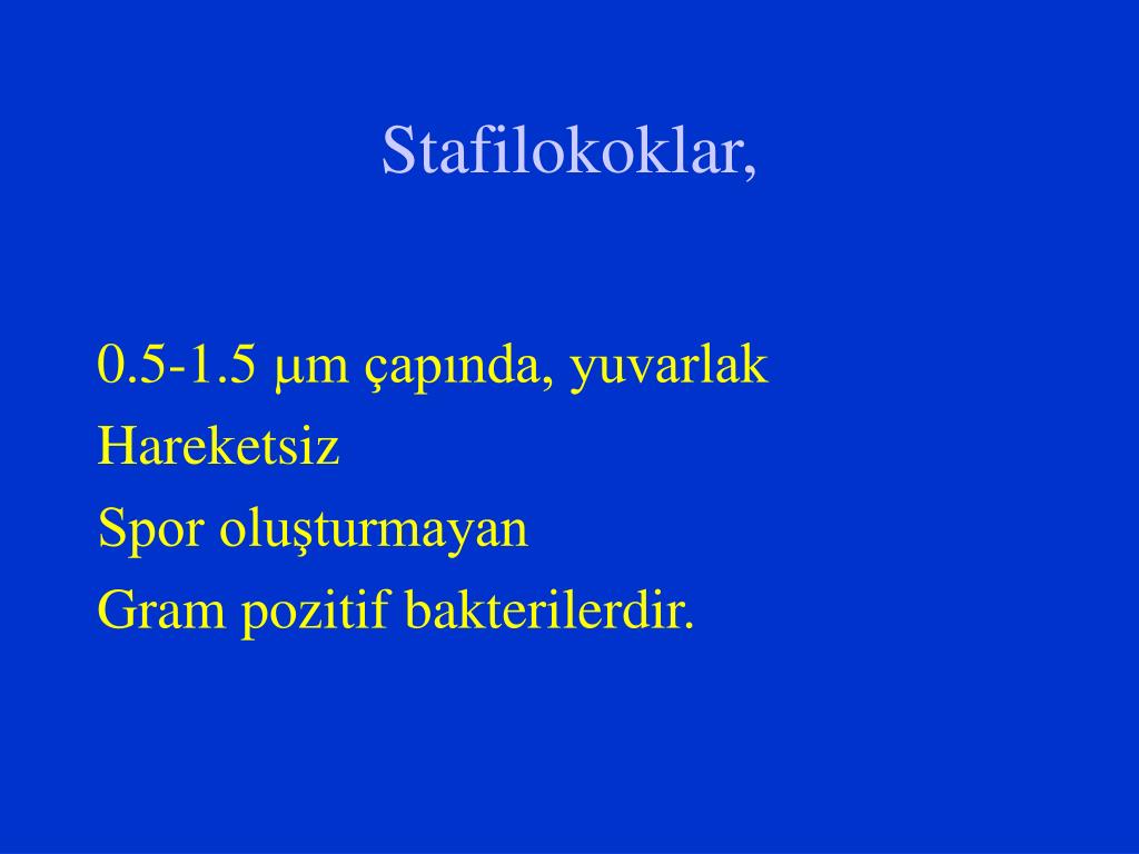 PPT - Stafilokokların Mikrobiyolojisi ve İnfeksiyon Oluşturma ...