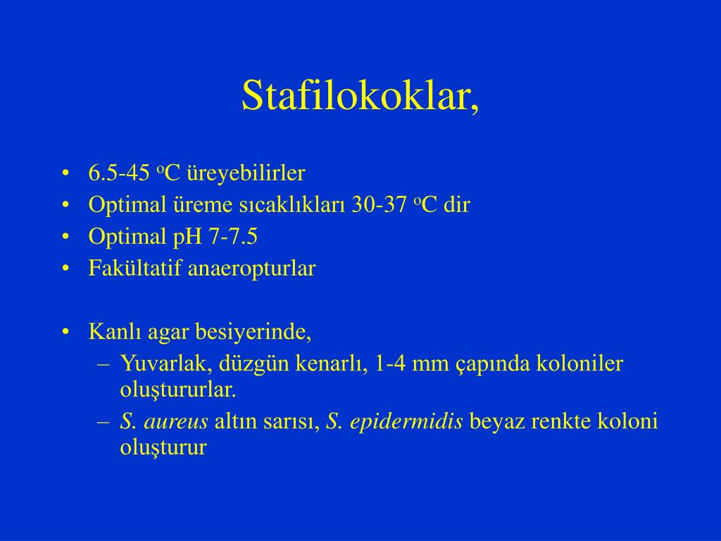 PPT - Stafilokokların Mikrobiyolojisi ve İnfeksiyon Oluşturma ...