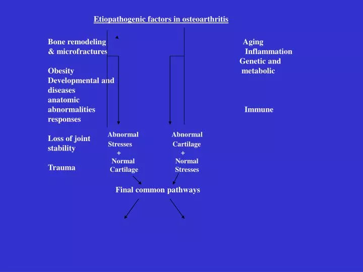 PPT - Final common pathways PowerPoint Presentation, free download - ID ...