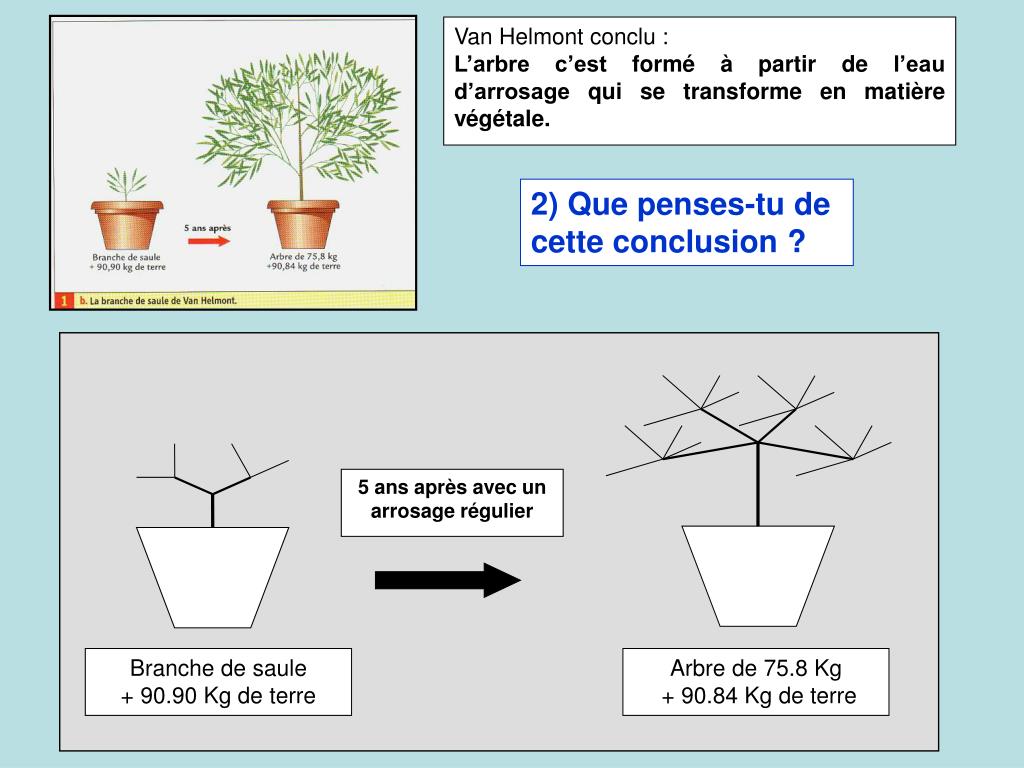 PPT - Chapitre 2 : Les besoins nutritifs des êtres vivants PowerPoint ...