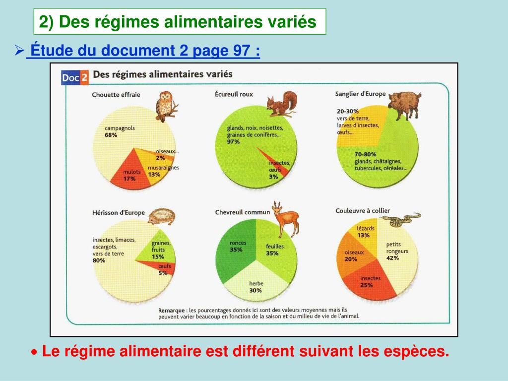 PPT - Chapitre 2 : Les besoins nutritifs des êtres vivants PowerPoint ...