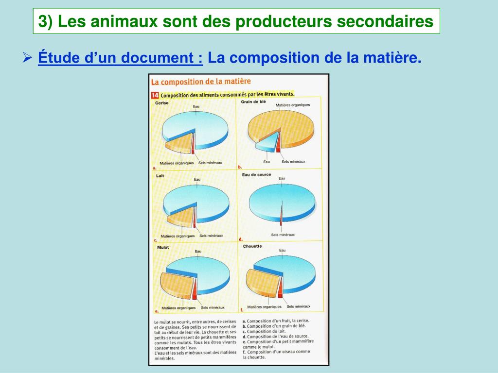 PPT - Chapitre 2 : Les besoins nutritifs des êtres vivants PowerPoint ...