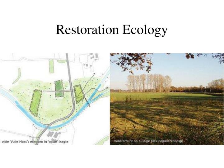 PPT - Ecosystem Management PowerPoint Presentation - ID:94067