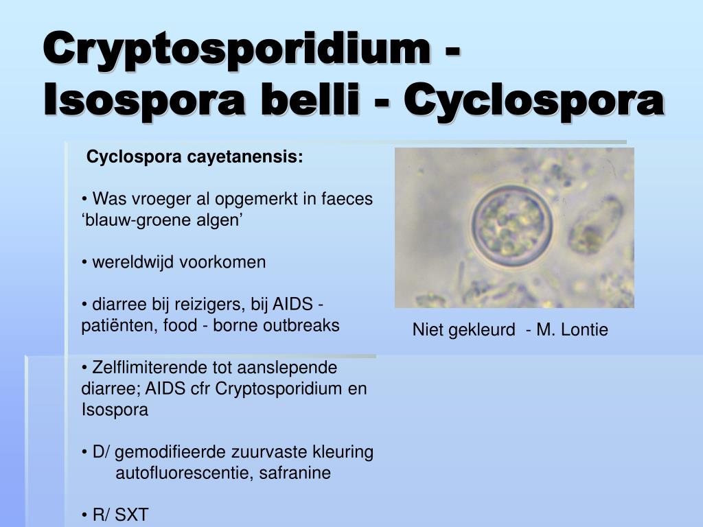 PPT - CAT opsporen van parasieten in faeces: wat en voor wie ...