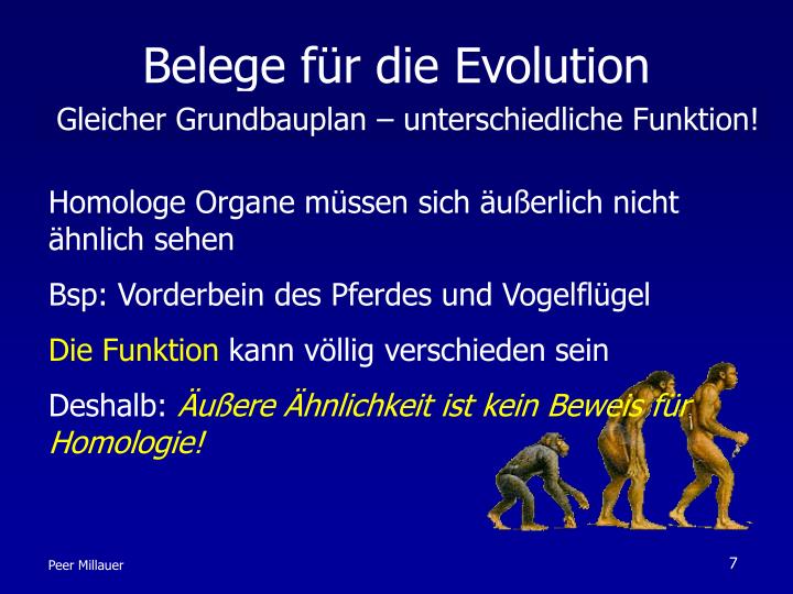 PPT - Belege für dieEvolution PowerPoint Presentation - ID:943281