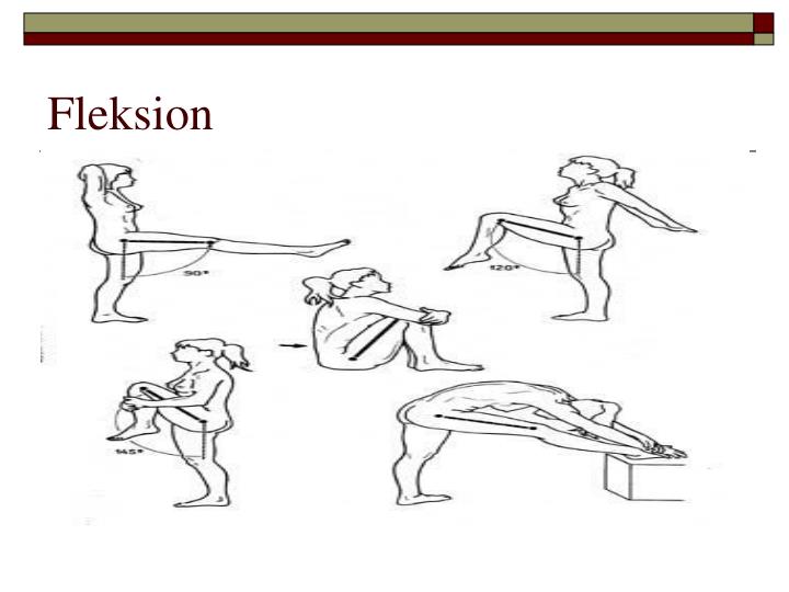 PPT - Hofteleddet PowerPoint Presentation - ID:943411