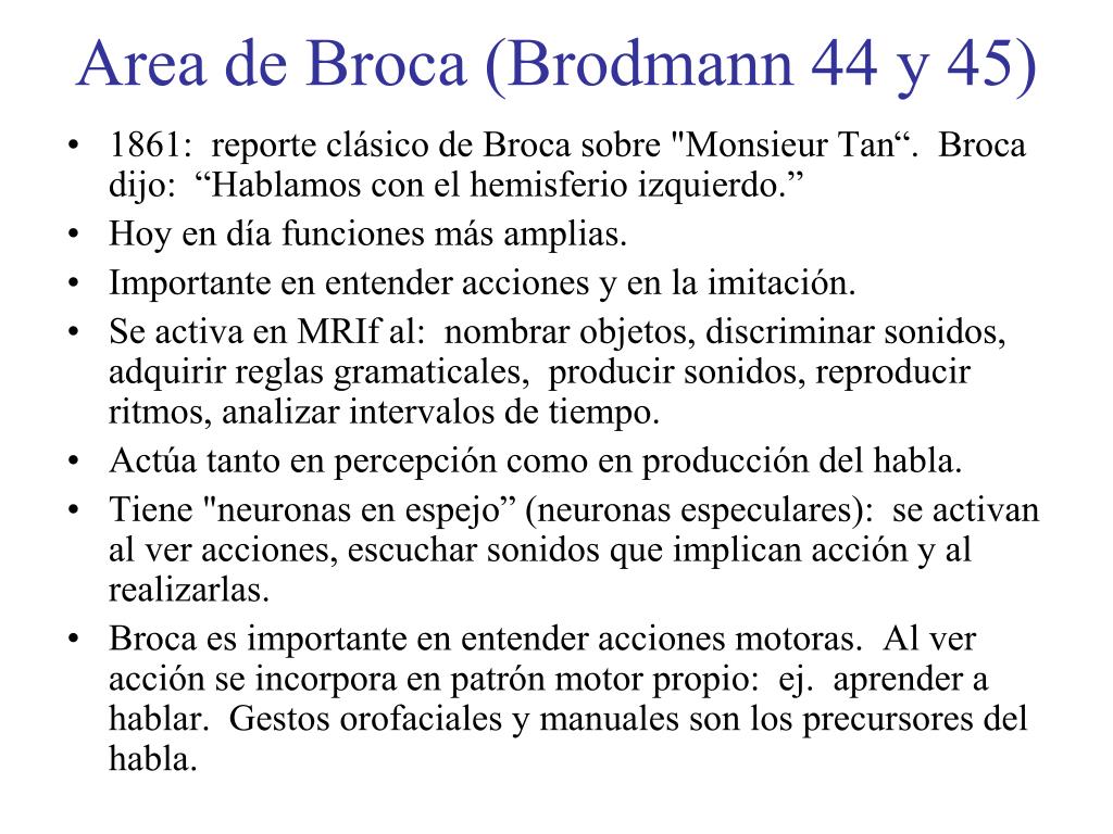 PPT - Adriana Suárez Urhan MD, MSc Profesora Asociada PowerPoint ...