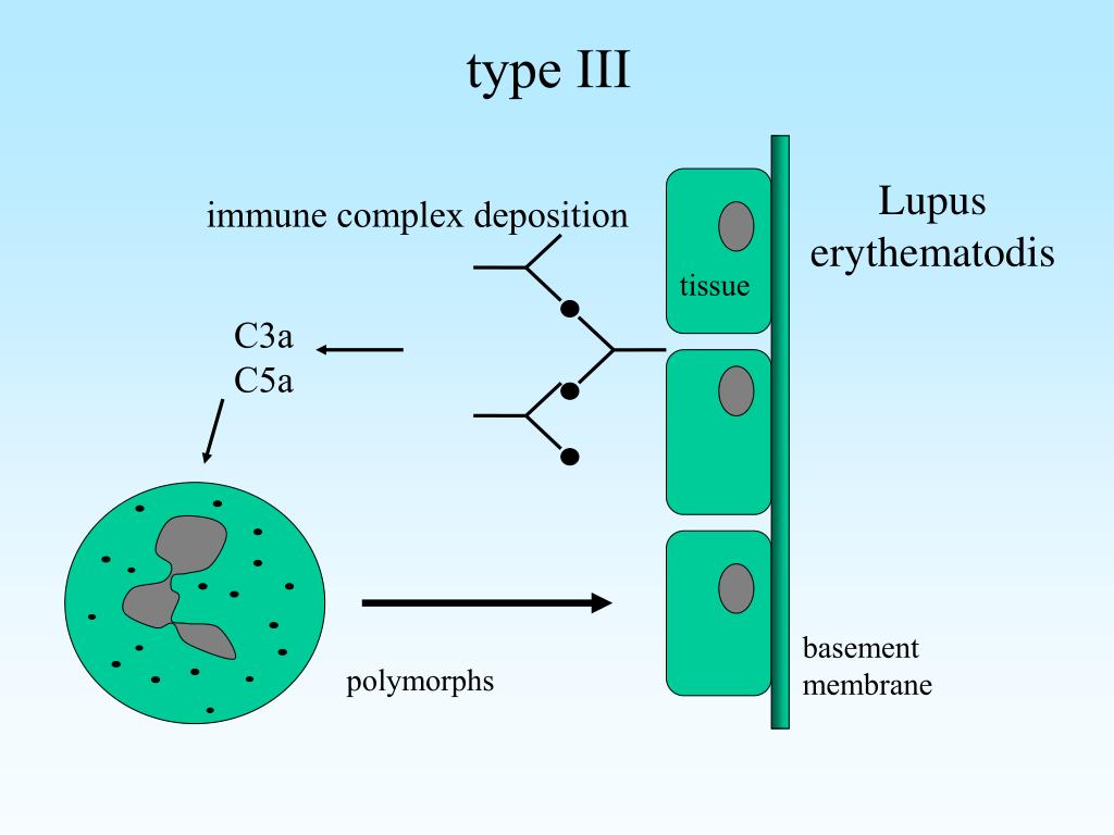 PPT - IM1003: Medical Immunology Introduction to immunological disease ...