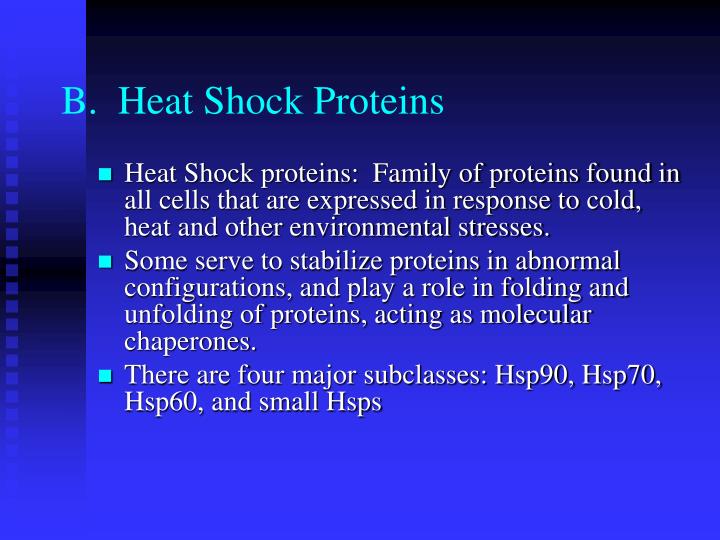 PPT - Heat Shock Proteins, Hsp90 Inhibitors, and Protein Degradation ...