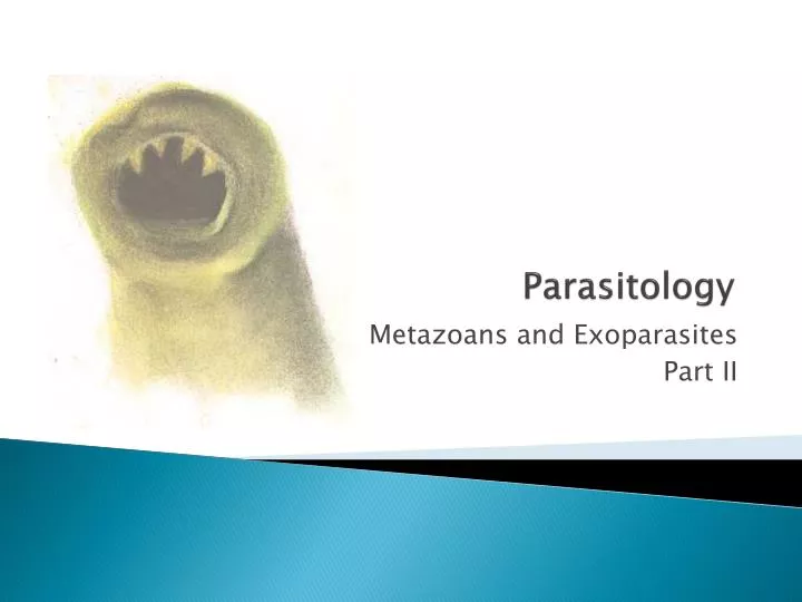 PPT - Parasitology PowerPoint Presentation, free download - ID:945357