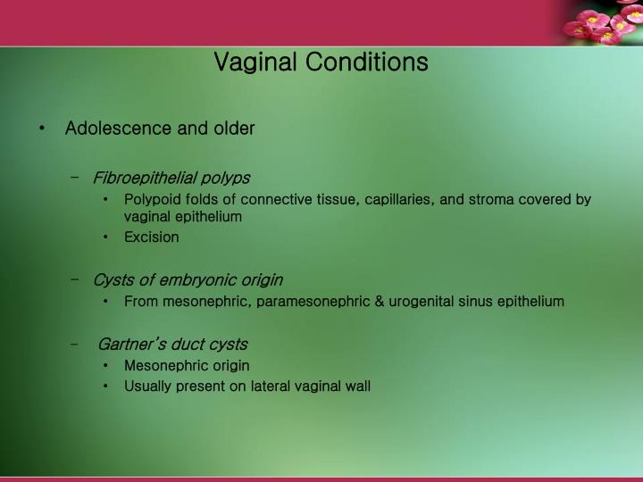 PPT - CHAPTER 13 Benign Diseases of the Female Reproductive Tract ...