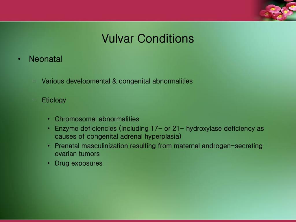 PPT - CHAPTER 13 Benign Diseases of the Female Reproductive Tract ...