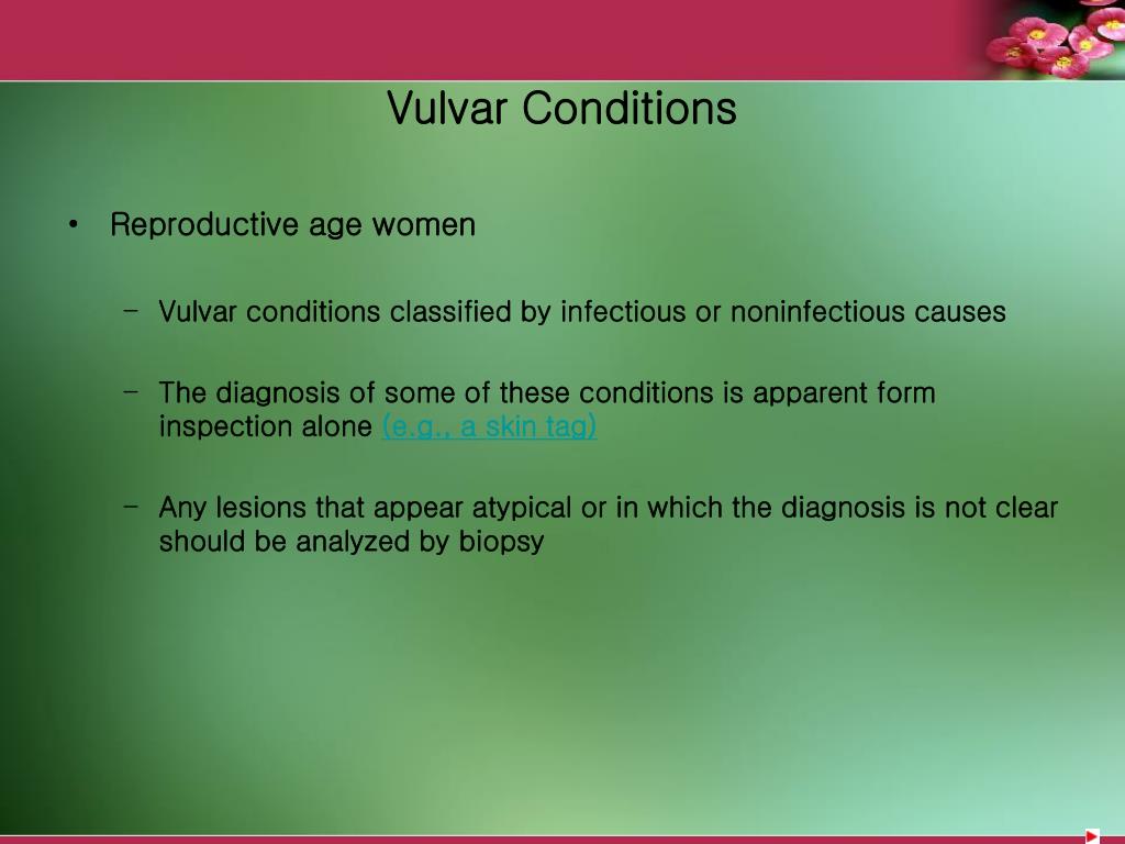 PPT - CHAPTER 13 Benign Diseases of the Female Reproductive Tract ...