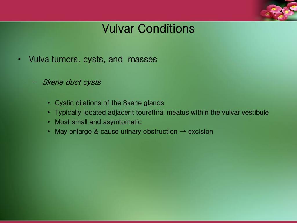 PPT - CHAPTER 13 Benign Diseases of the Female Reproductive Tract ...