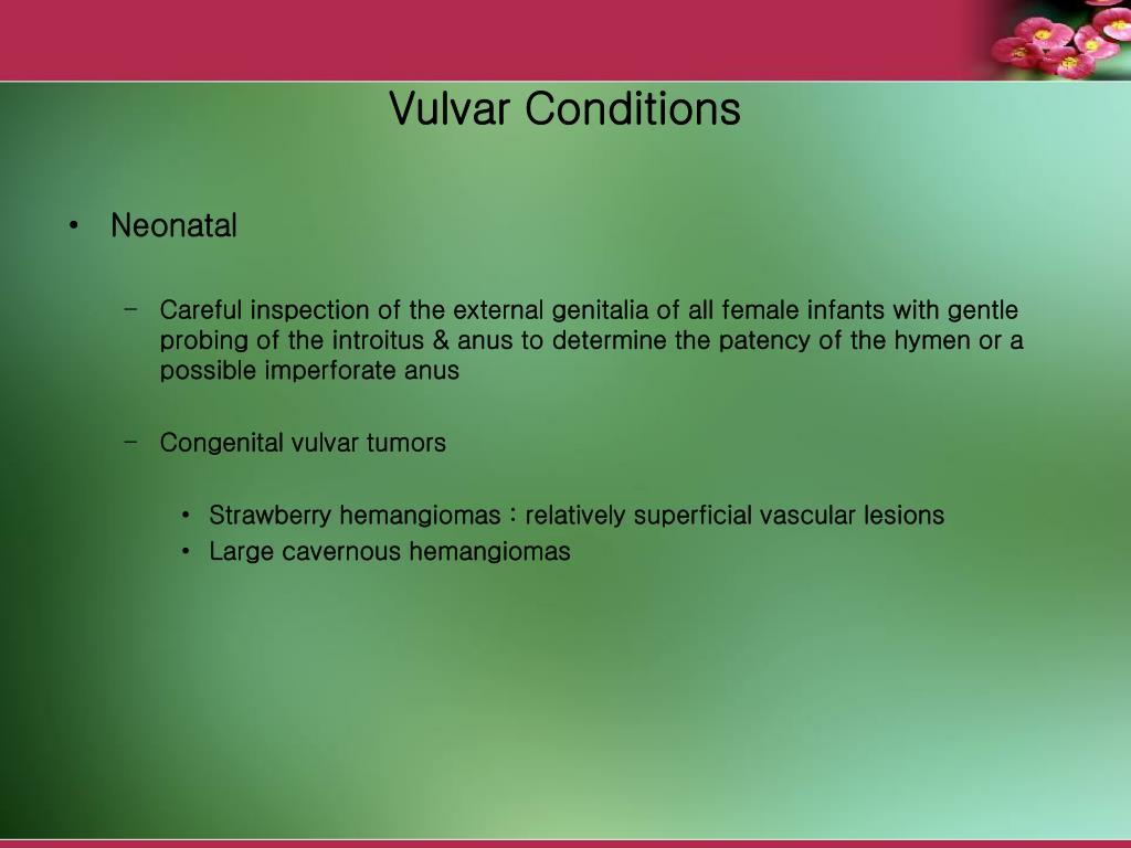 PPT - CHAPTER 13 Benign Diseases of the Female Reproductive Tract ...