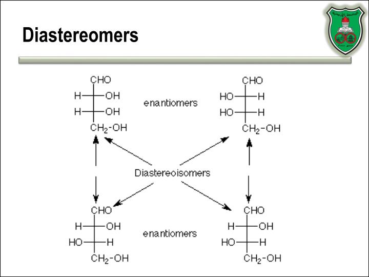 PPT - Macromolecules & Carbohydrates PowerPoint Presentation - ID:945923