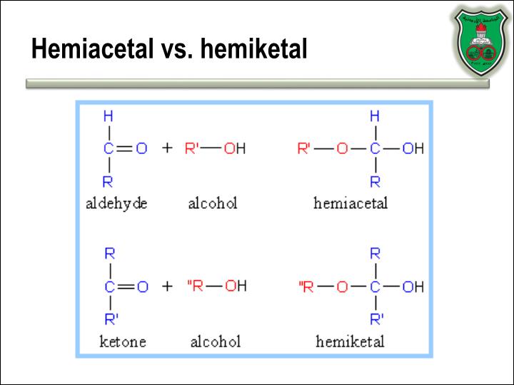 PPT - Macromolecules & Carbohydrates PowerPoint Presentation - ID:945923