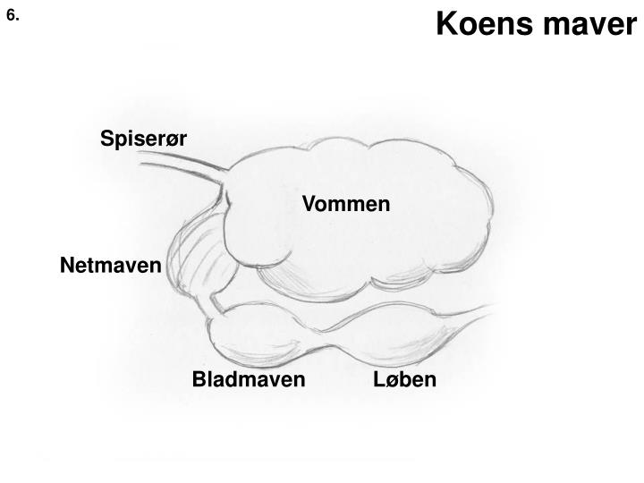 PPT - Hvad ved du? PowerPoint Presentation - ID:947229