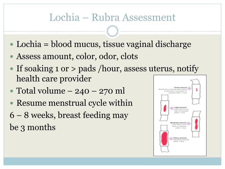 PPT - Postpartum Nursing Care PowerPoint Presentation - ID:948173