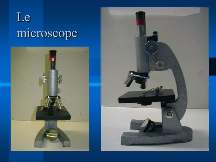 PPT - Le microscope PowerPoint Presentation, free download - ID:949042