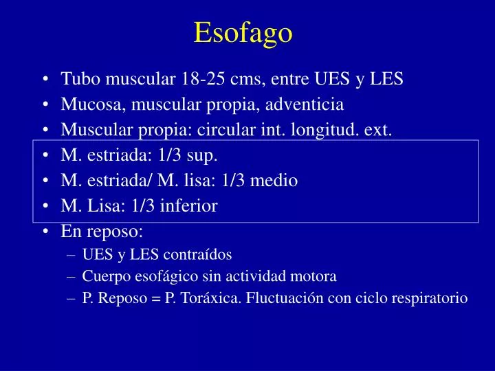 PPT - Esofago PowerPoint Presentation, free download - ID:951391