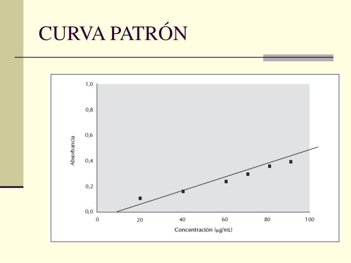 PPT - INTRODUCCIÓN 1. Espectrofot ometría 2. Determinación de proteínas ...