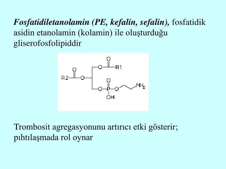 PPT - Lipidler: Sınıflandırılmaları, özellikleri ve tanıtıcı ...