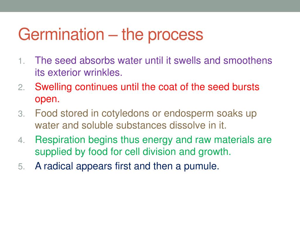 PPT Plant Propagation PowerPoint Presentation Free Download ID 952501 PPT Plant Propagation PowerPoint Presentation Free Download ID 952501