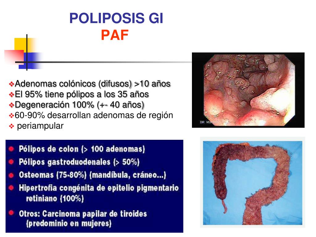 PPT - FACULTAD DE MEDICINA. CORDOBA PATOLOGIA MEDICA I CURSO 2009-2010 ...