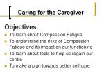 PPT - Caring for the Caregiver PowerPoint Presentation - ID:954703