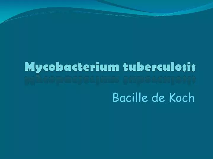 PPT - Mycobacterium tuberculosis PowerPoint Presentation, free download ...