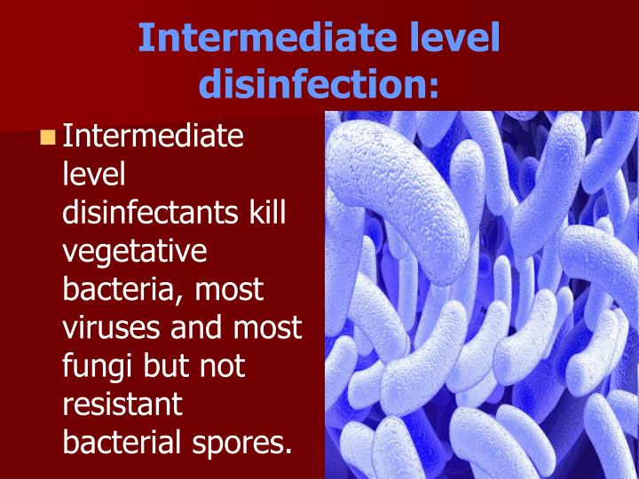 PPT - Disinfection by chemical agents PowerPoint Presentation - ID:9586