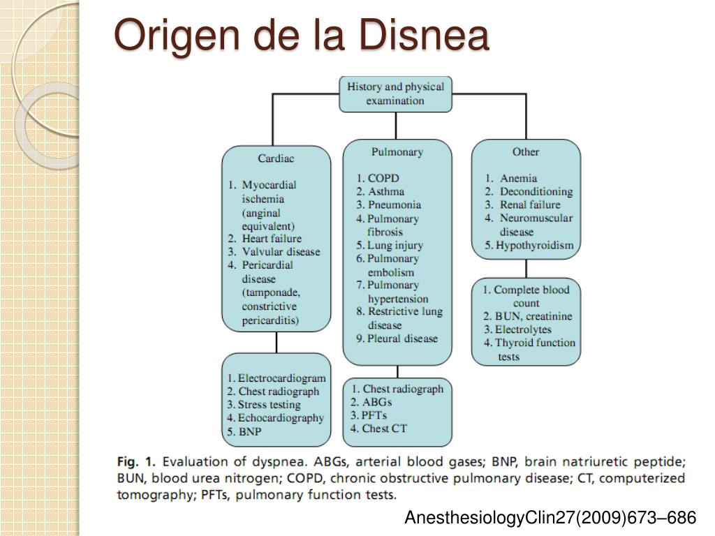 PPT - Evaluación de la Disnea en el Paciente Adulto Mayor PowerPoint ...