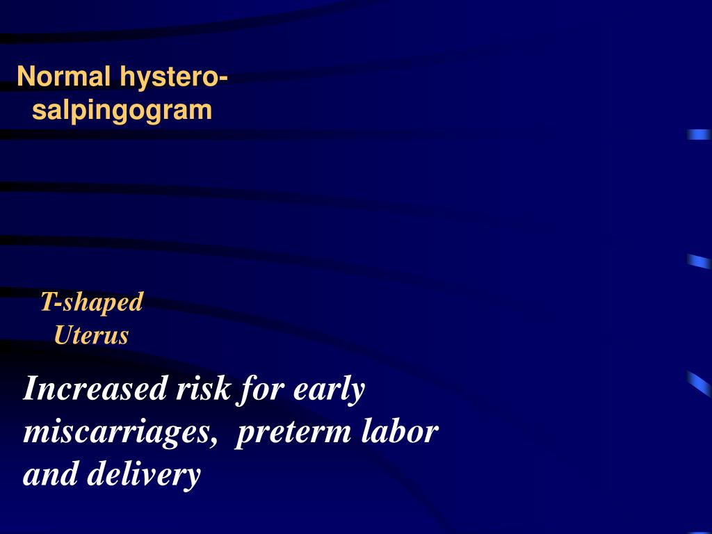 PPT - 環境與健康 PowerPoint Presentation, free download - ID:961199