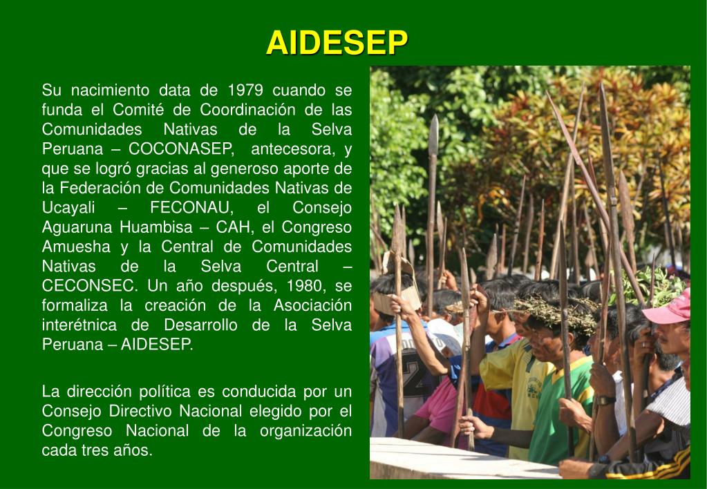PPT - ASOCIAC IÓ N INTER É TNICA DE DESARROLLO DE LA SELVA PERUANA ...