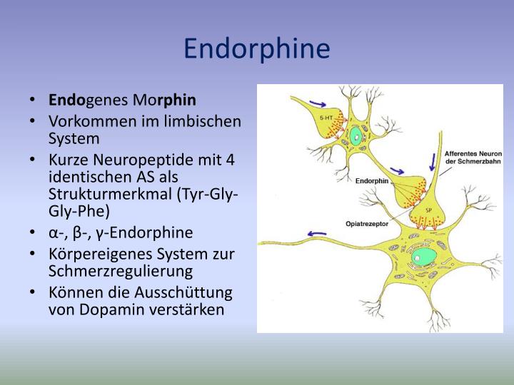 PPT - Schizophrenie PowerPoint Presentation - ID:961802