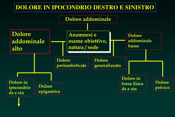 PPT - DOLORE IN IPOCONDRIO DESTRO E SINISTRO PowerPoint Presentation ...